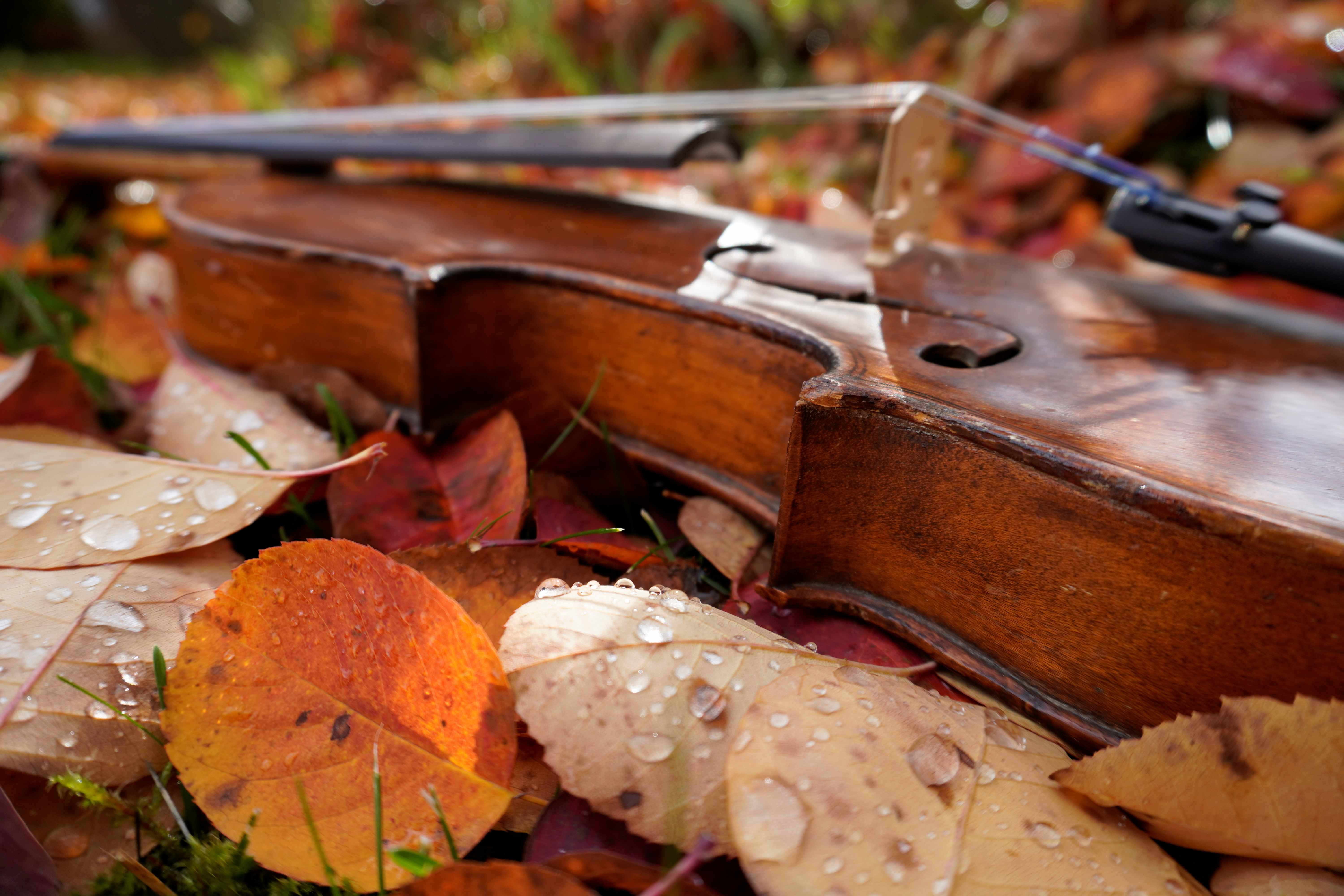 ilmonet - Kurssi - H254962. Syvemmälle säveliin – Vahvista viulunsoittoasi.